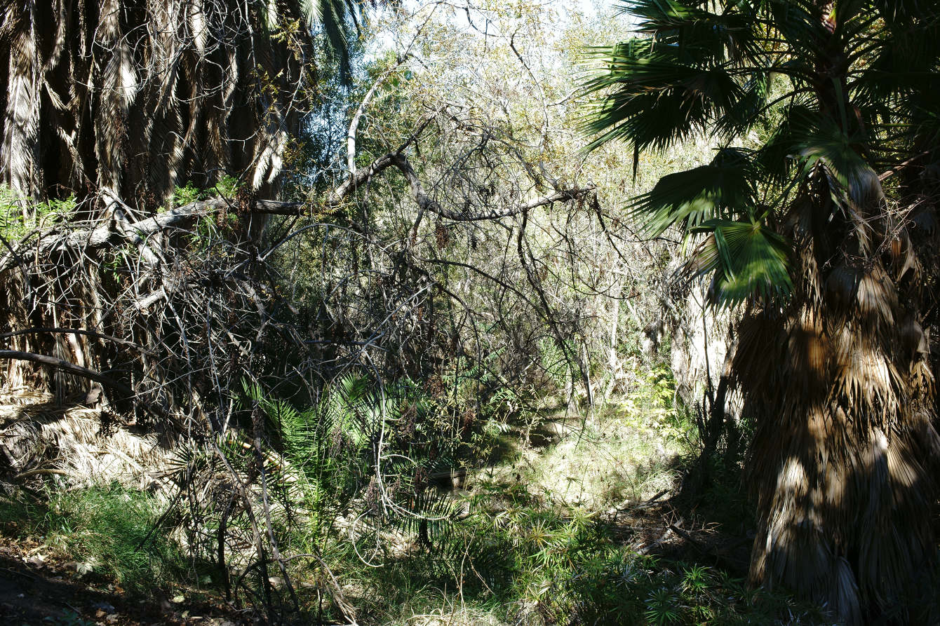 Patrick Lakey Studio