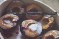Braised Beef Short Ribs + Acorn Squash Mash - www.farm-field.com