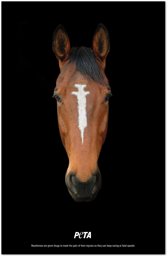 PETA Poster Campaign - Dana Mulranen