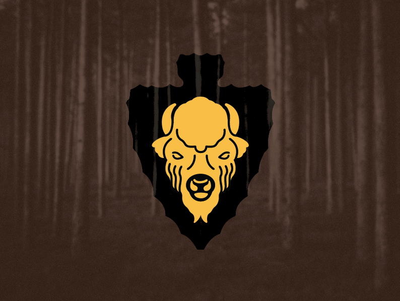 Arkansas Life magazine Icons - Stricklandesigns