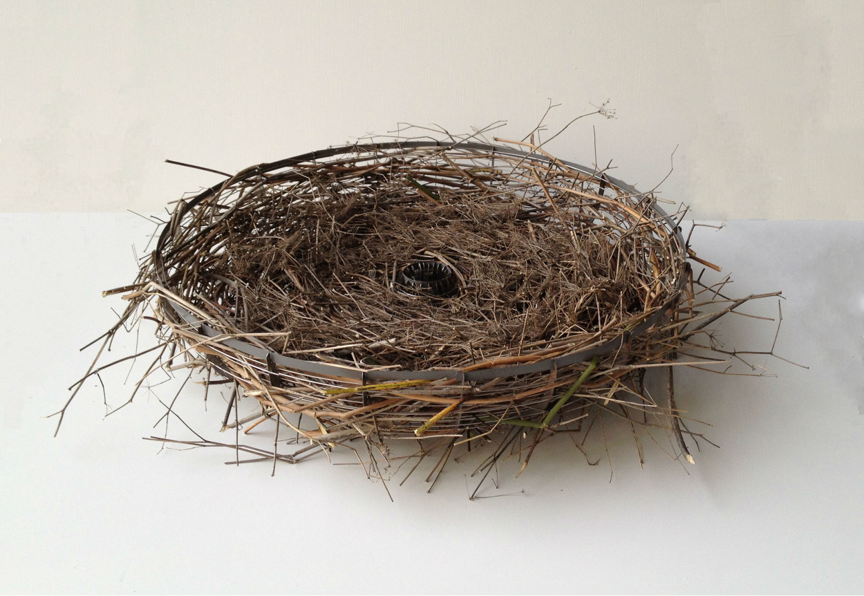 Nest Treehouse Sub Structure - Dustin Feider's Portfolio