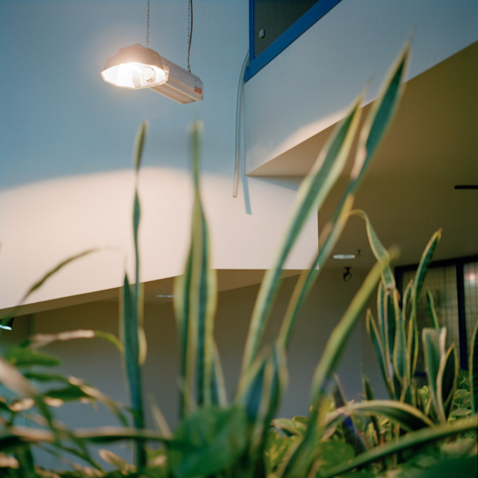 Plant Perception - Kathryn Hillier Photography