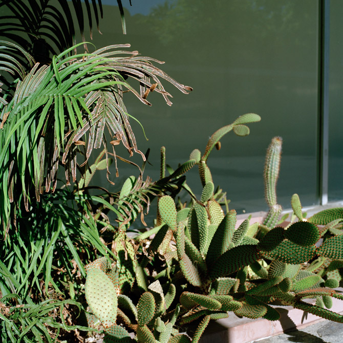 Plant Perception - Kathryn Hillier Photography
