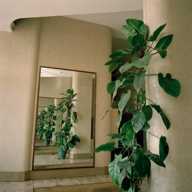 Plant Perception - Kathryn Hillier Photography