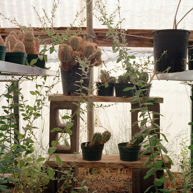 Plant Perception - Kathryn Hillier Photography