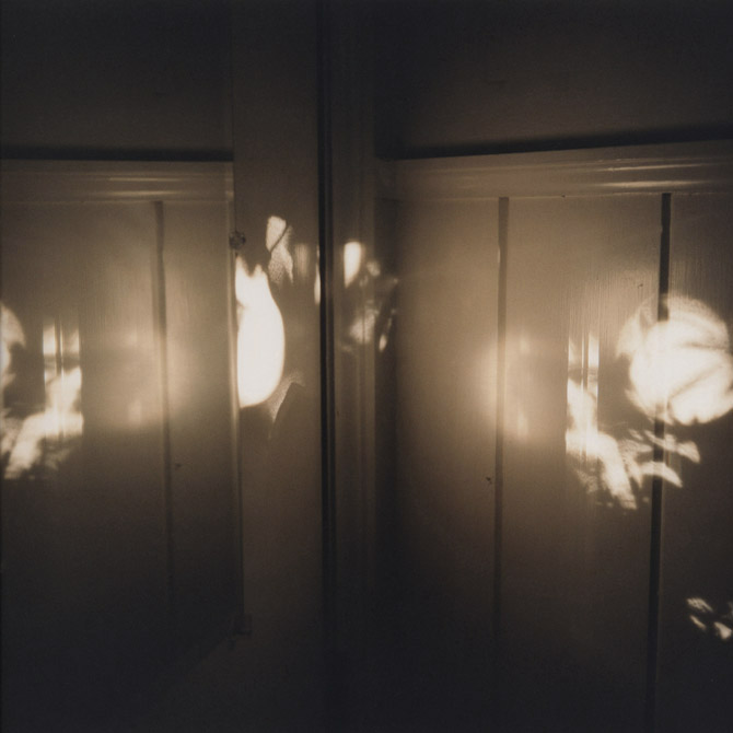 Shadowed Light - Kathryn Hillier Photography