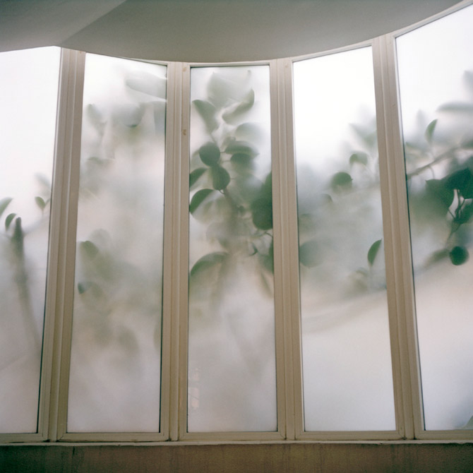 Shadowed Light - Kathryn Hillier Photography