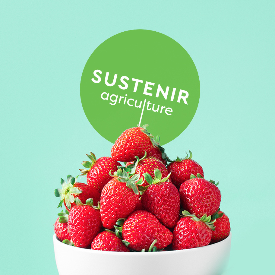 Sustenir Rebranding - sy chia