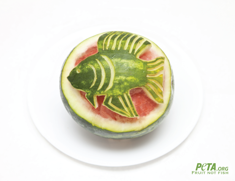 Peta Fishing - Chum Bucket