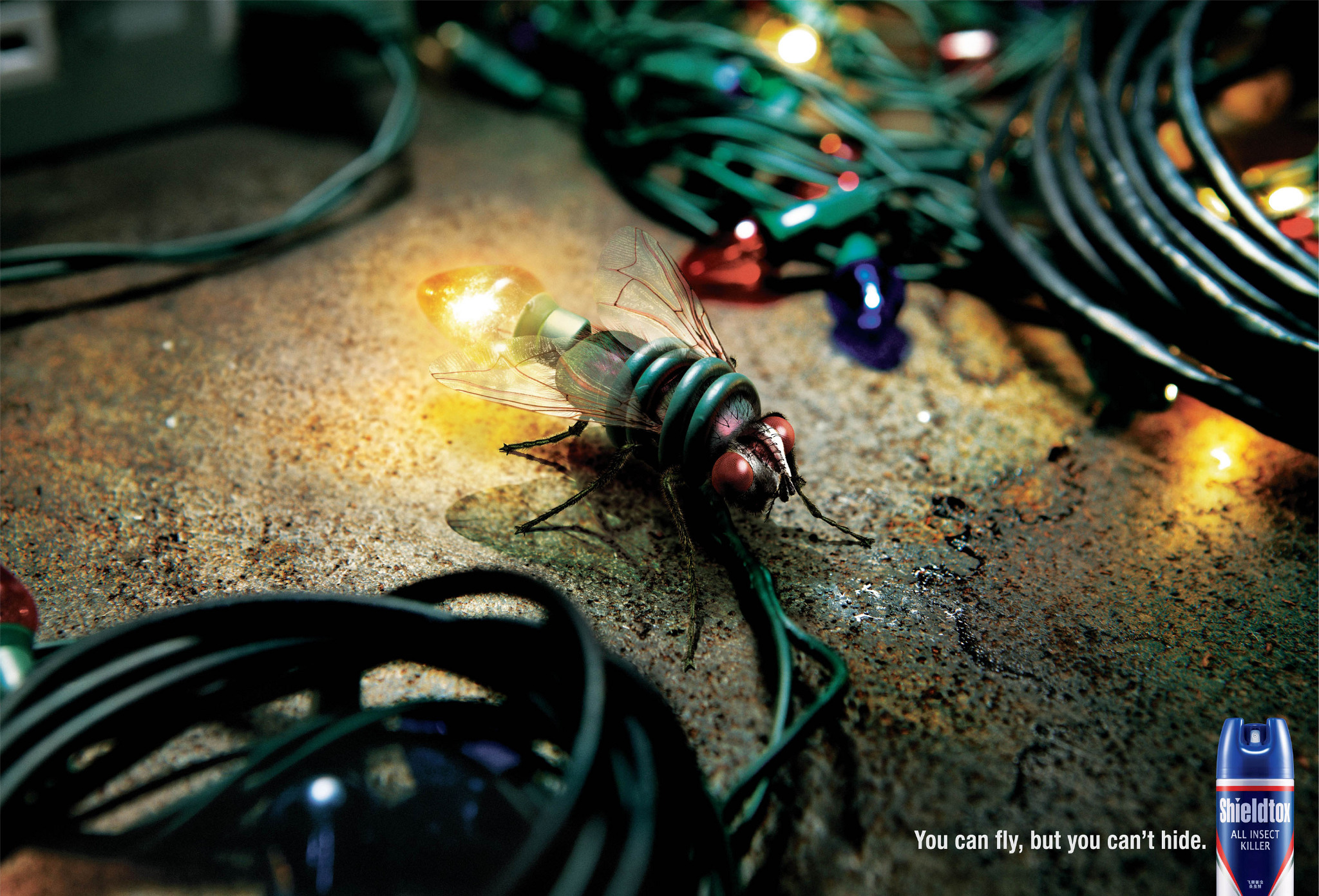 Shieldtox: Insects In Disguise - Work of Hans