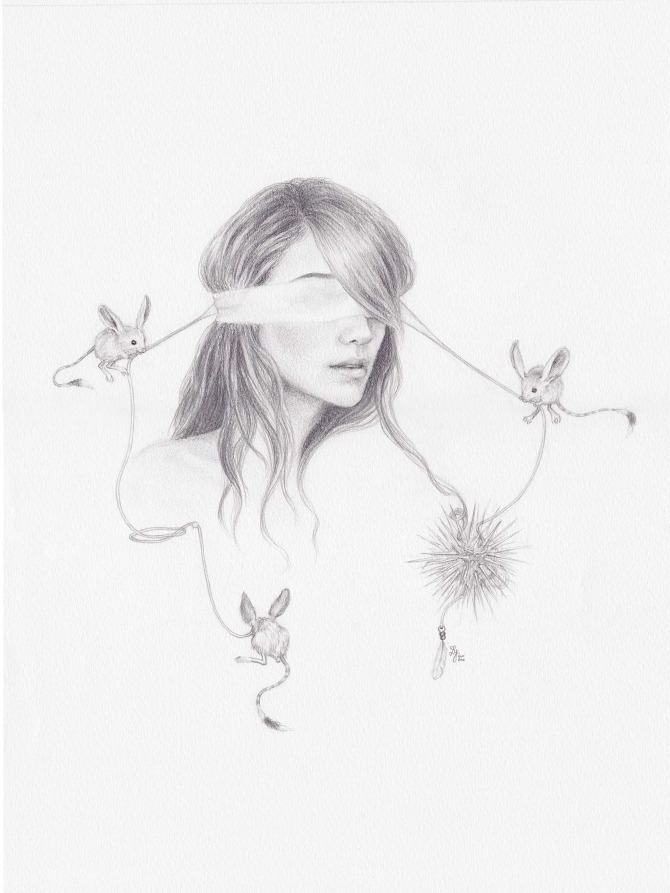 Animalia I / 2010-11 - Lucy Yu { Artwork }