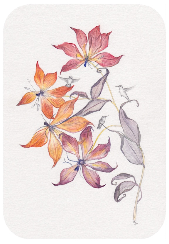 Animalia III / 2011 - Lucy Yu { Artwork }