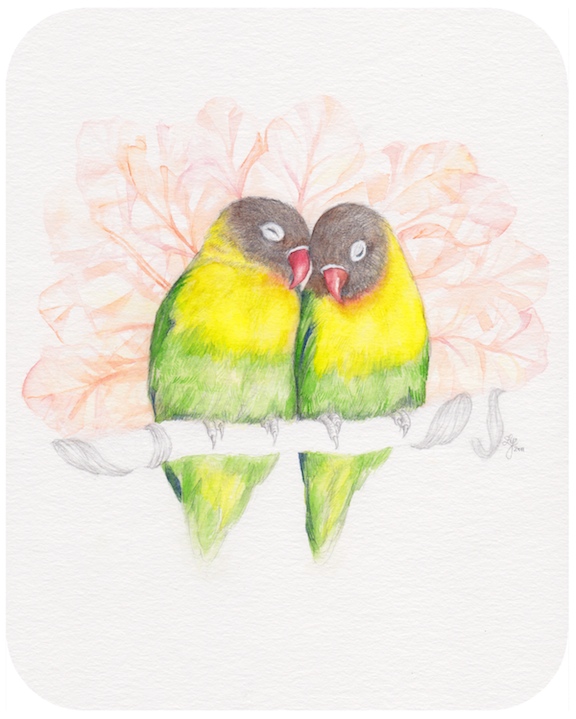 Animalia III / 2011 - Lucy Yu { Artwork }