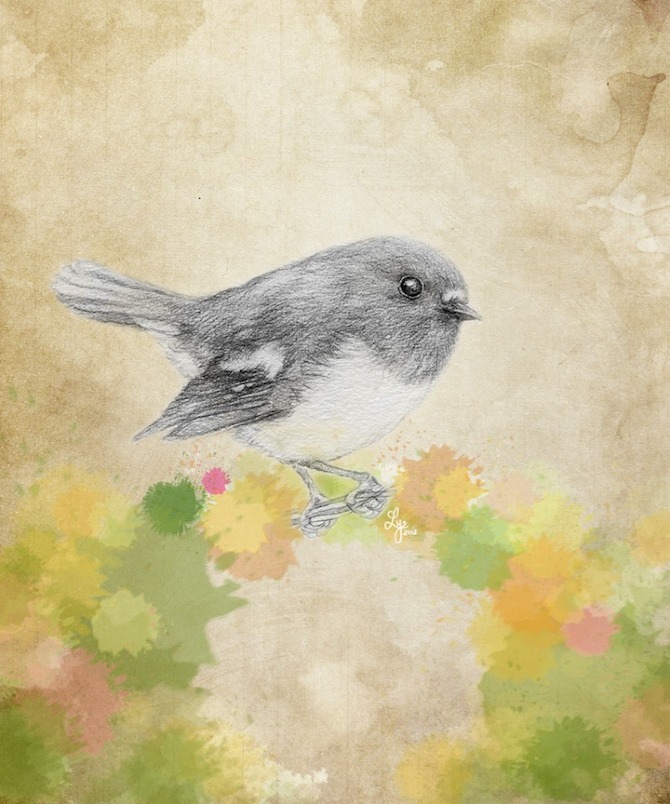 Miromiro / 2012 - Lucy Yu { Artwork }