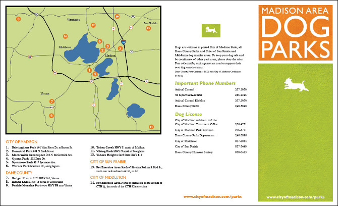 Dog Park Brochure - Kaila Hogan's Portfolio