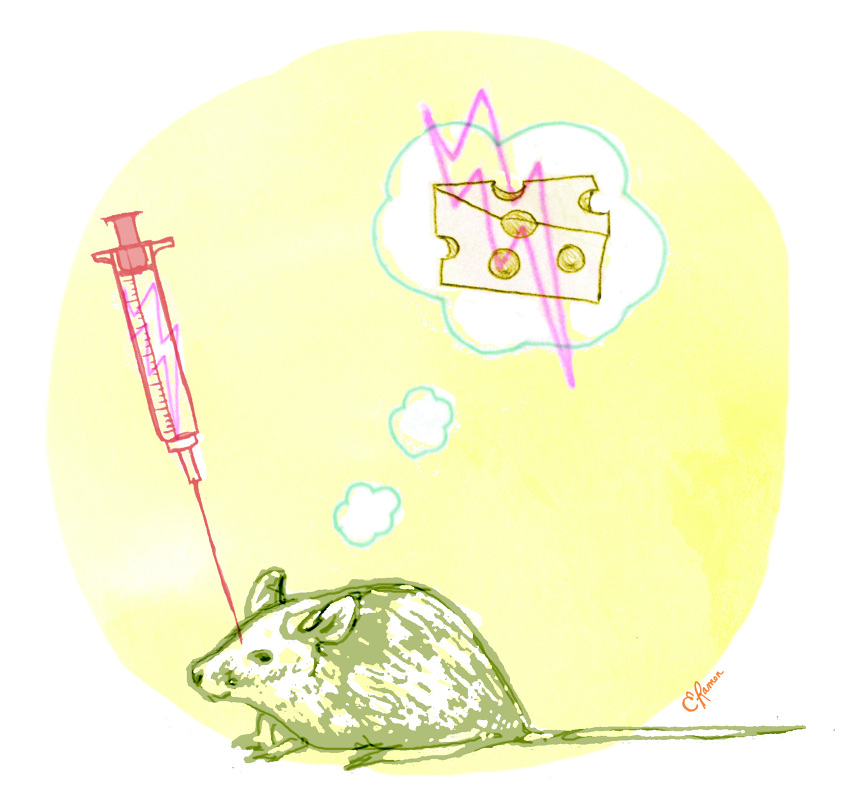 Annals of Science- Inception - Distillery Magazine