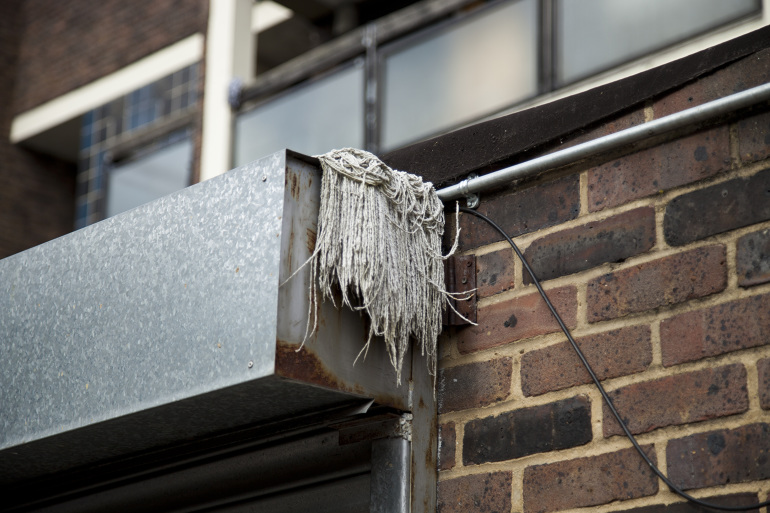 Mops of London - Sam Weller