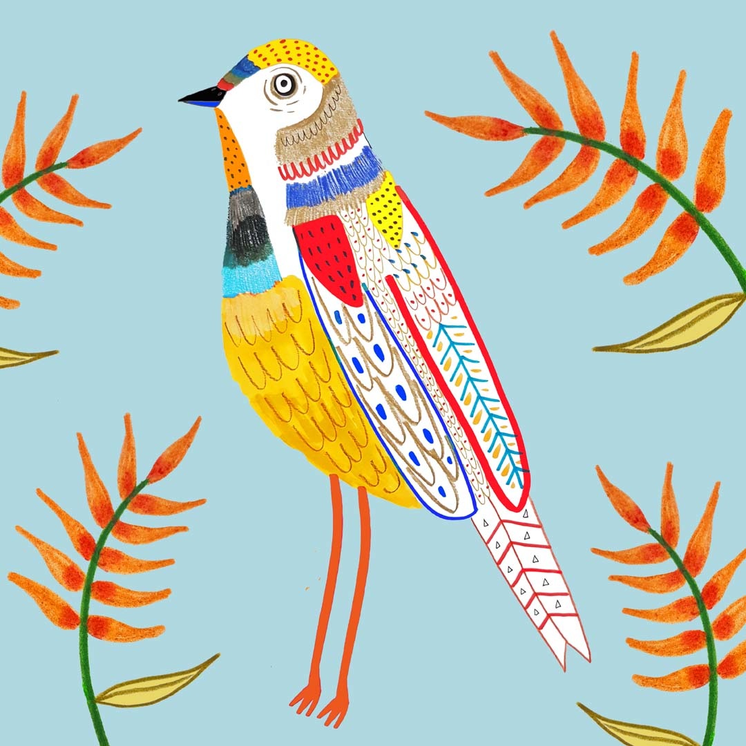 bird illustration, artwork, illustrator, for hire, license, art print ...