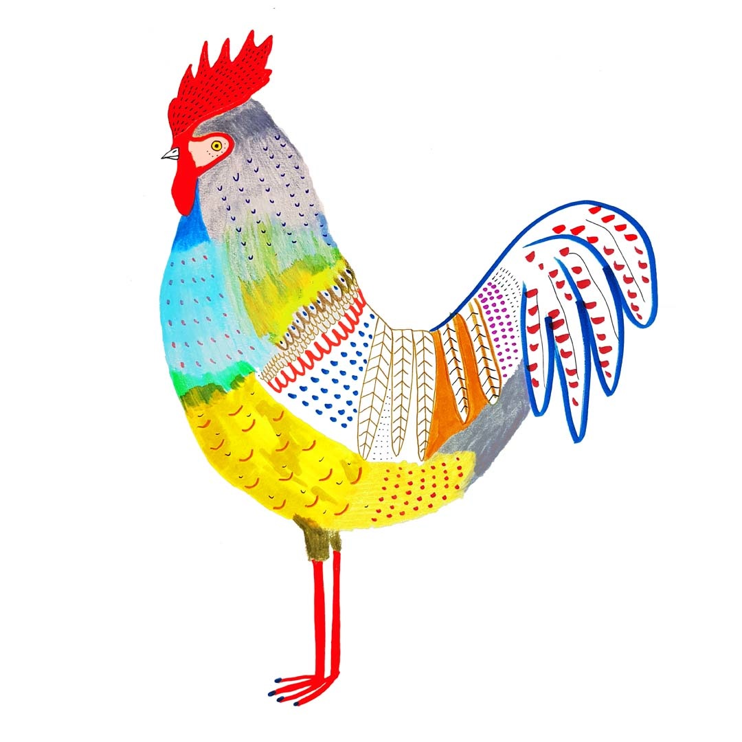 cockerel illustration, bird art, bird illustration, illustrator ...