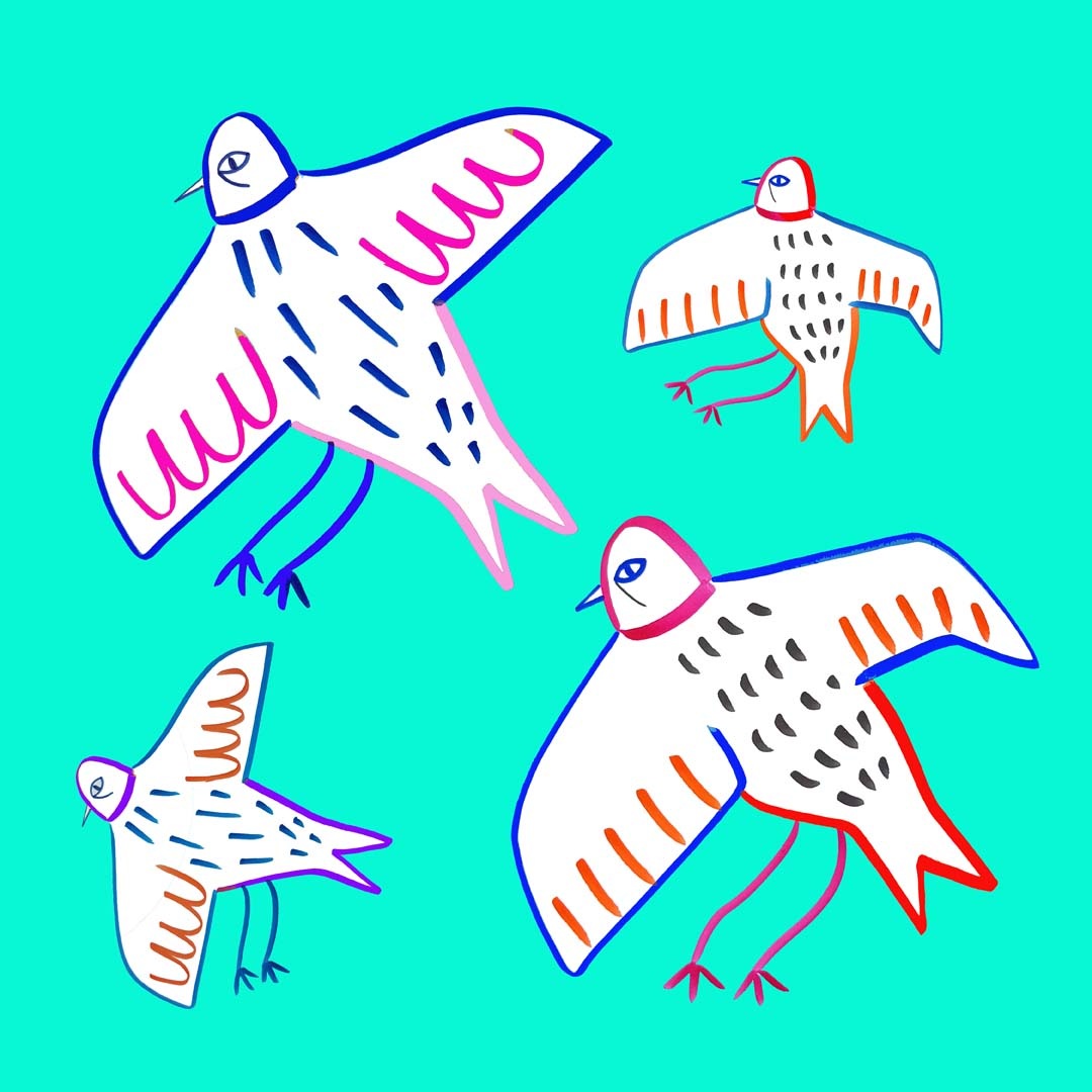 bird illustrations, illustrator, artwork, artist, art, prints, design ...