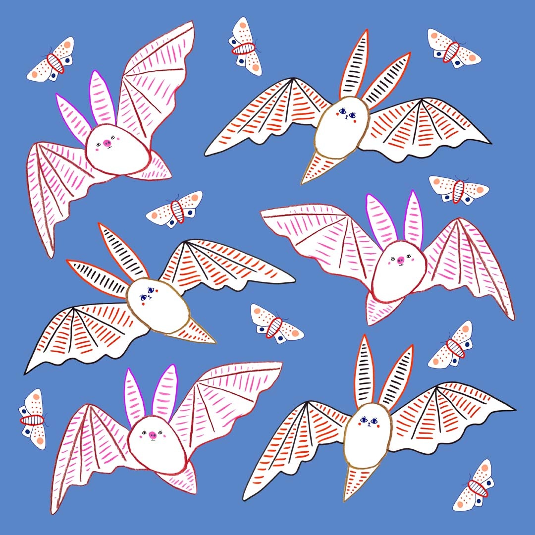 pattern illustration - Ashley Percival Illustration