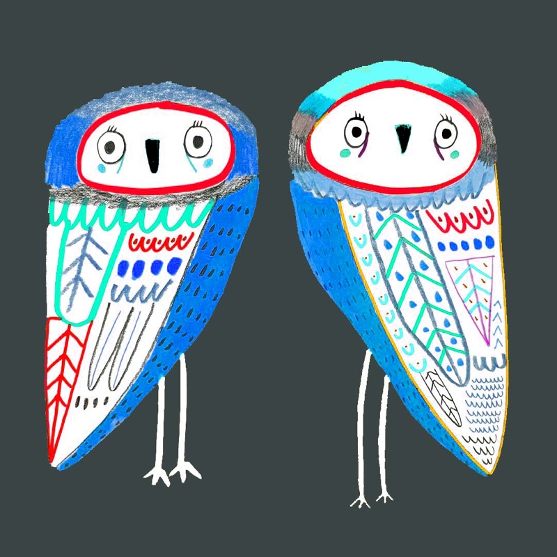 animal illustrations - Ashley Percival Illustration