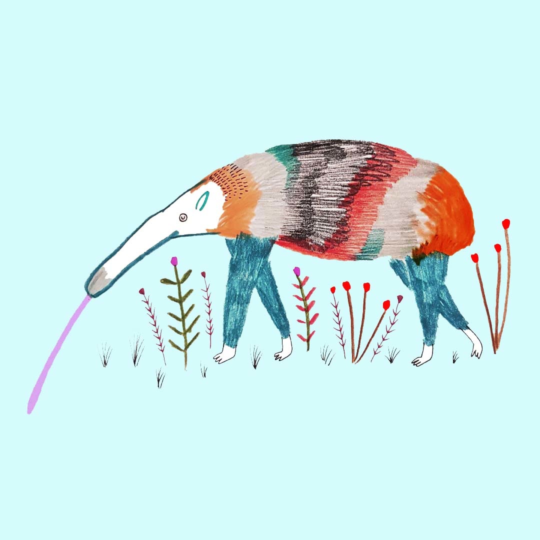 animal illustrations - Ashley Percival Illustration