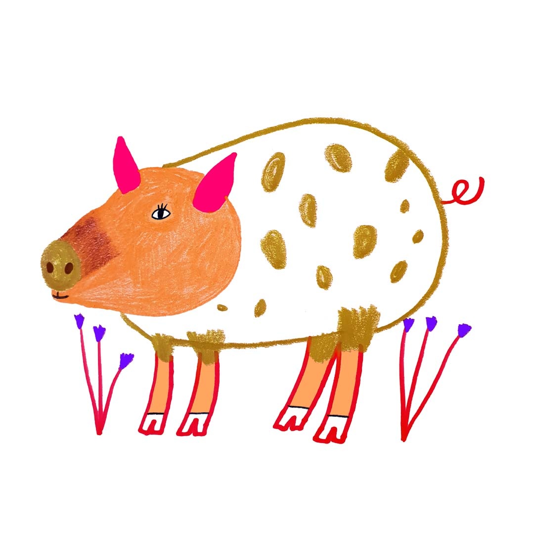 year of the pig, art, pig art, pig illustration, pigs, illustrator ...