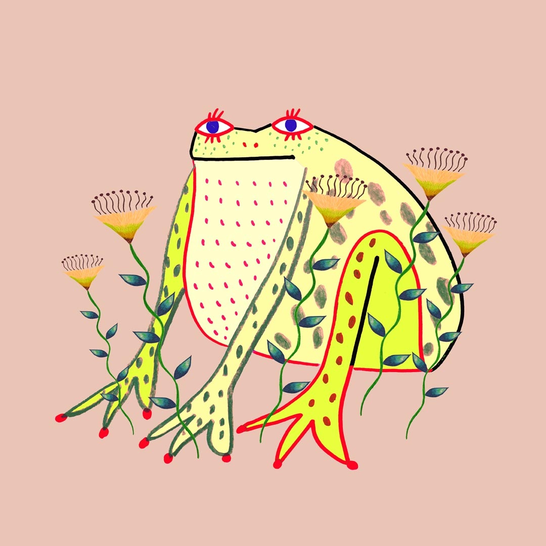 character illustration, character design, frog art, illustrator, frogs ...