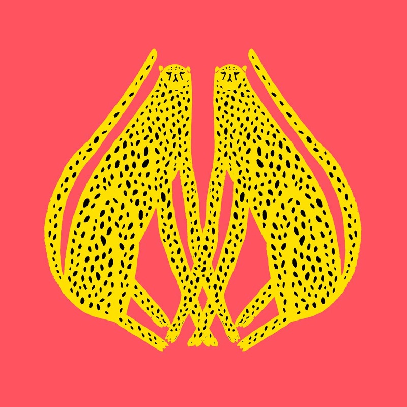 Animal art - Ashley Percival Illustration