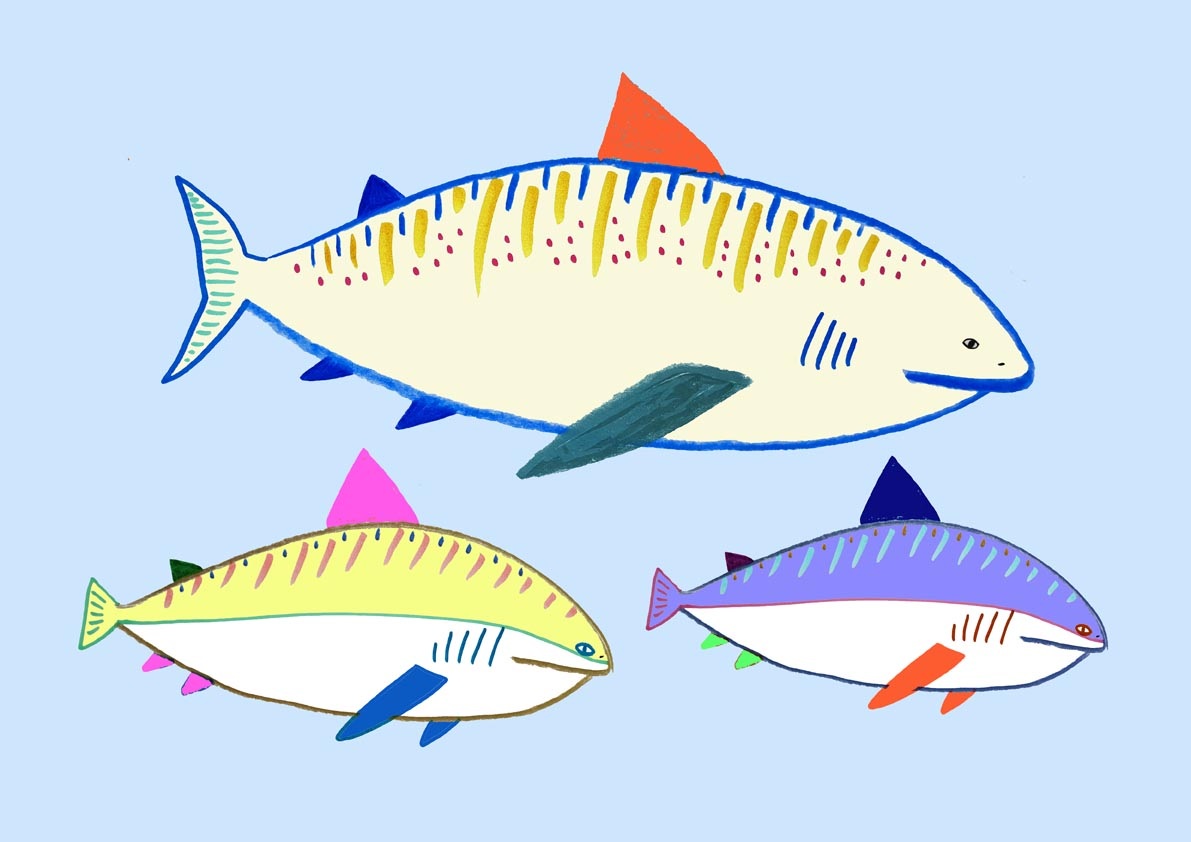 shark illustration, sharks art print, sharks print, fish illustration ...