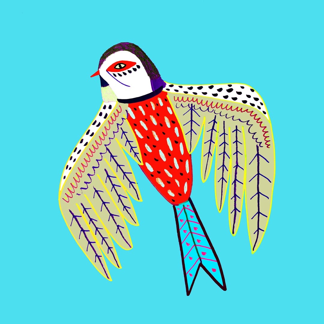 bird illustration, bird art, illustration, bird design, drawing, art ...