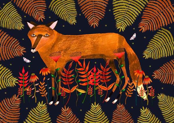 Ashley Percival Illustration