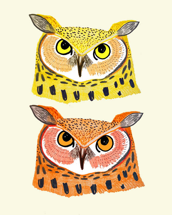 illustration art print - illustrator - designer - artist - animal art ...