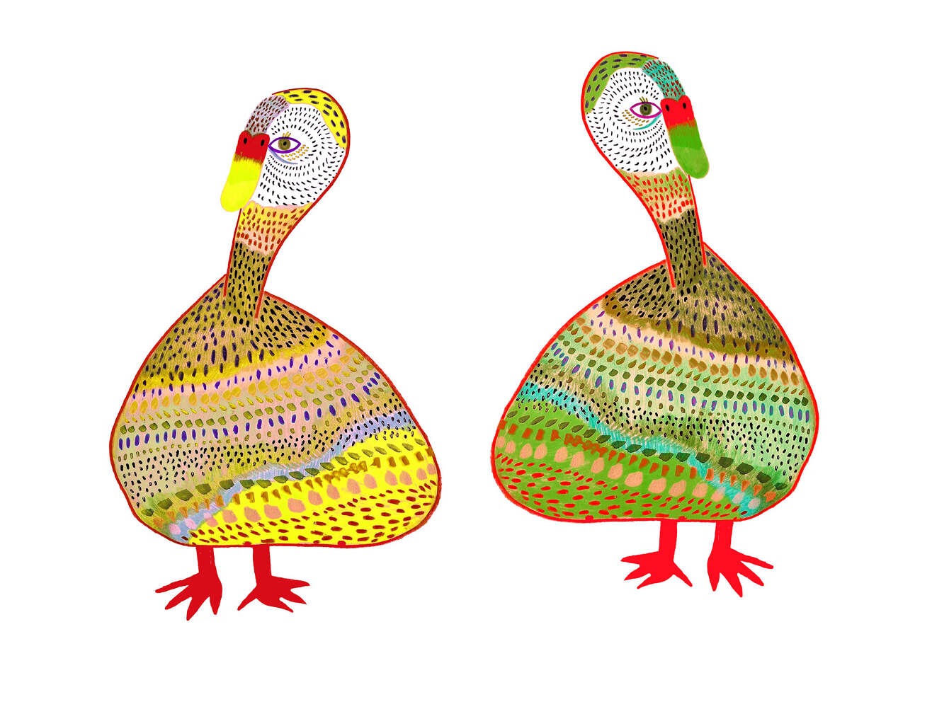 duck illustrations, art prints, animal design, duck art, illustrator ...