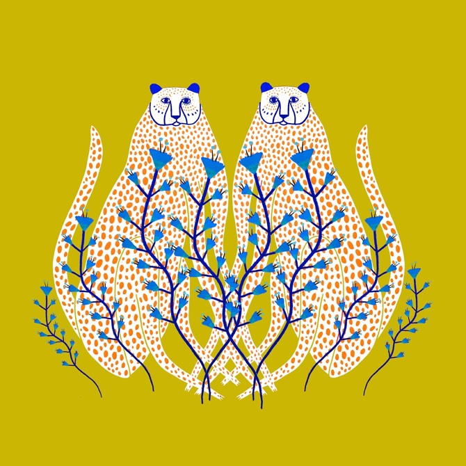 Animal Illustrations - Ashley Percival Illustration