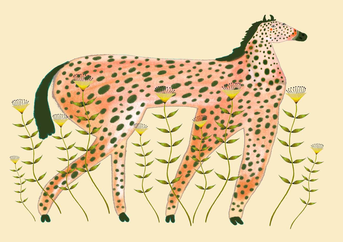 Horse Illustrations - Ashley Percival Illustration