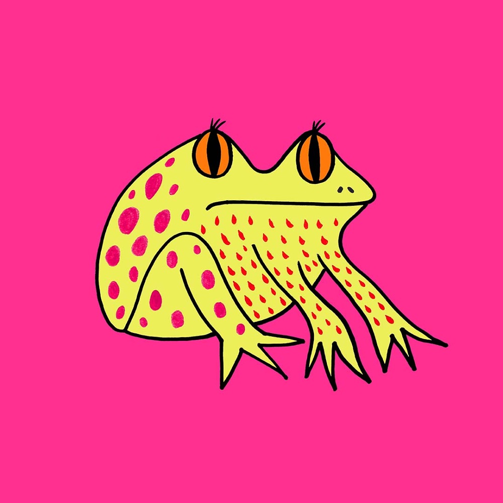 Frog Illustrations - Ashley Percival Illustration