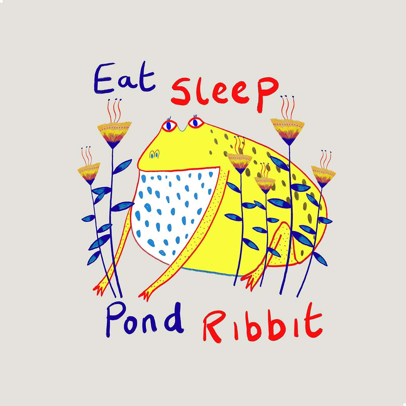 Frog Illustrations - Ashley Percival Illustration