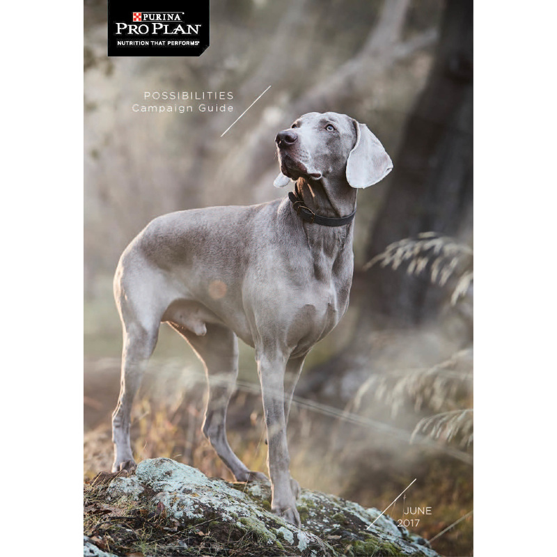 Purina Pro Plan Brand Work - Meghan Ekern's Portfolio