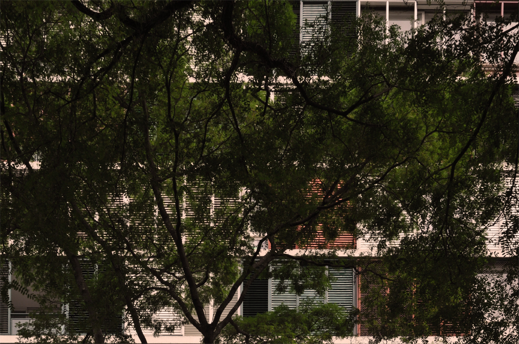 edificio lausanne - wochiwow