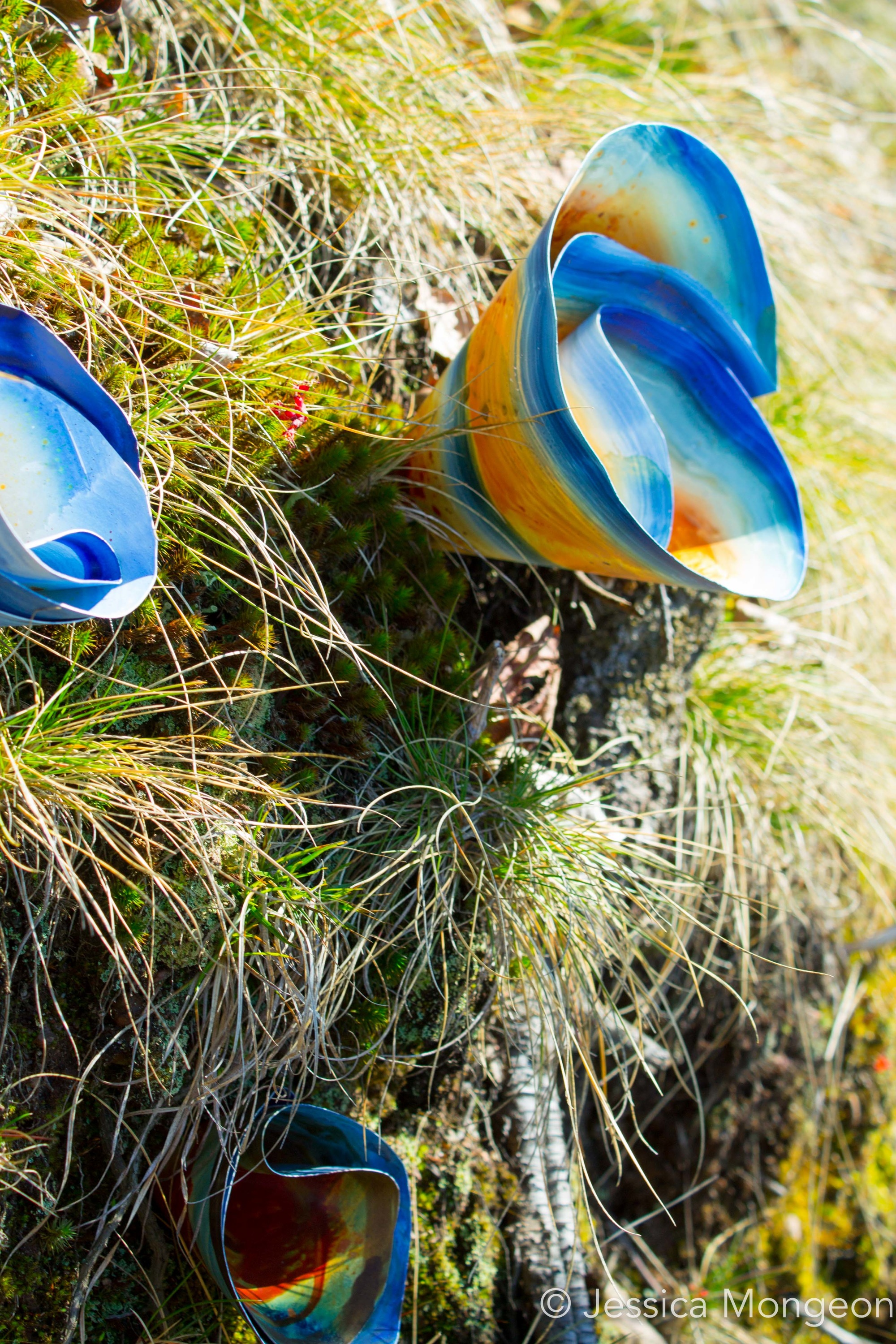 Spring Camouflage - Jessica Mongeon