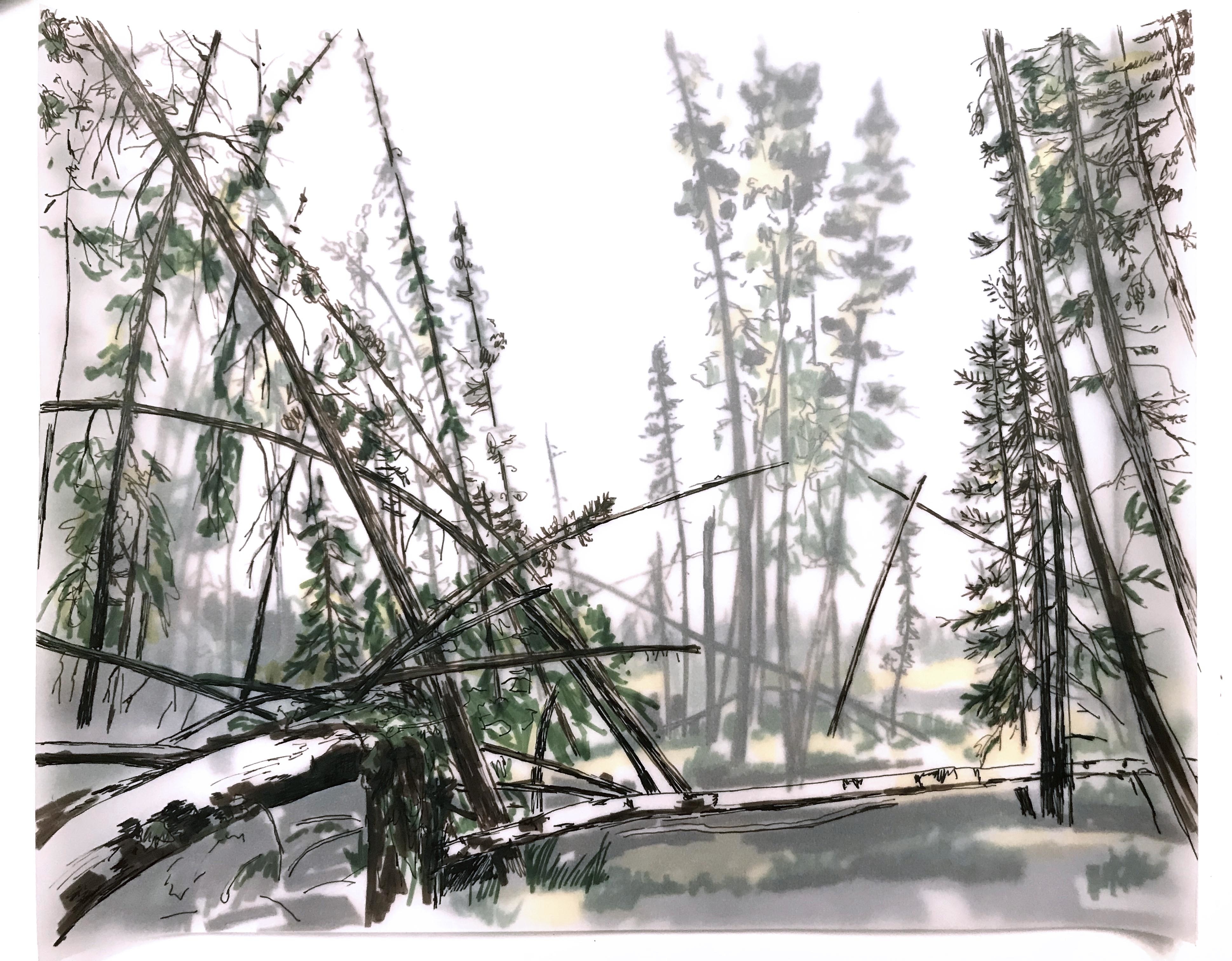 Drunken Trees - Jessica Mongeon