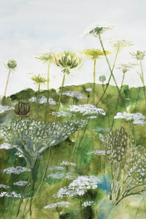 Student Work - Jessica Mongeon