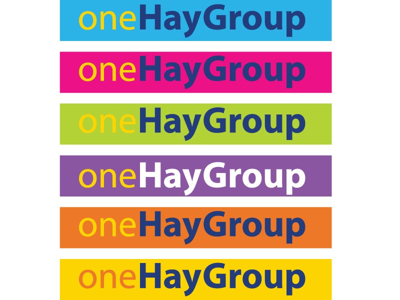 Hay Group - Thiago Vasconcelos