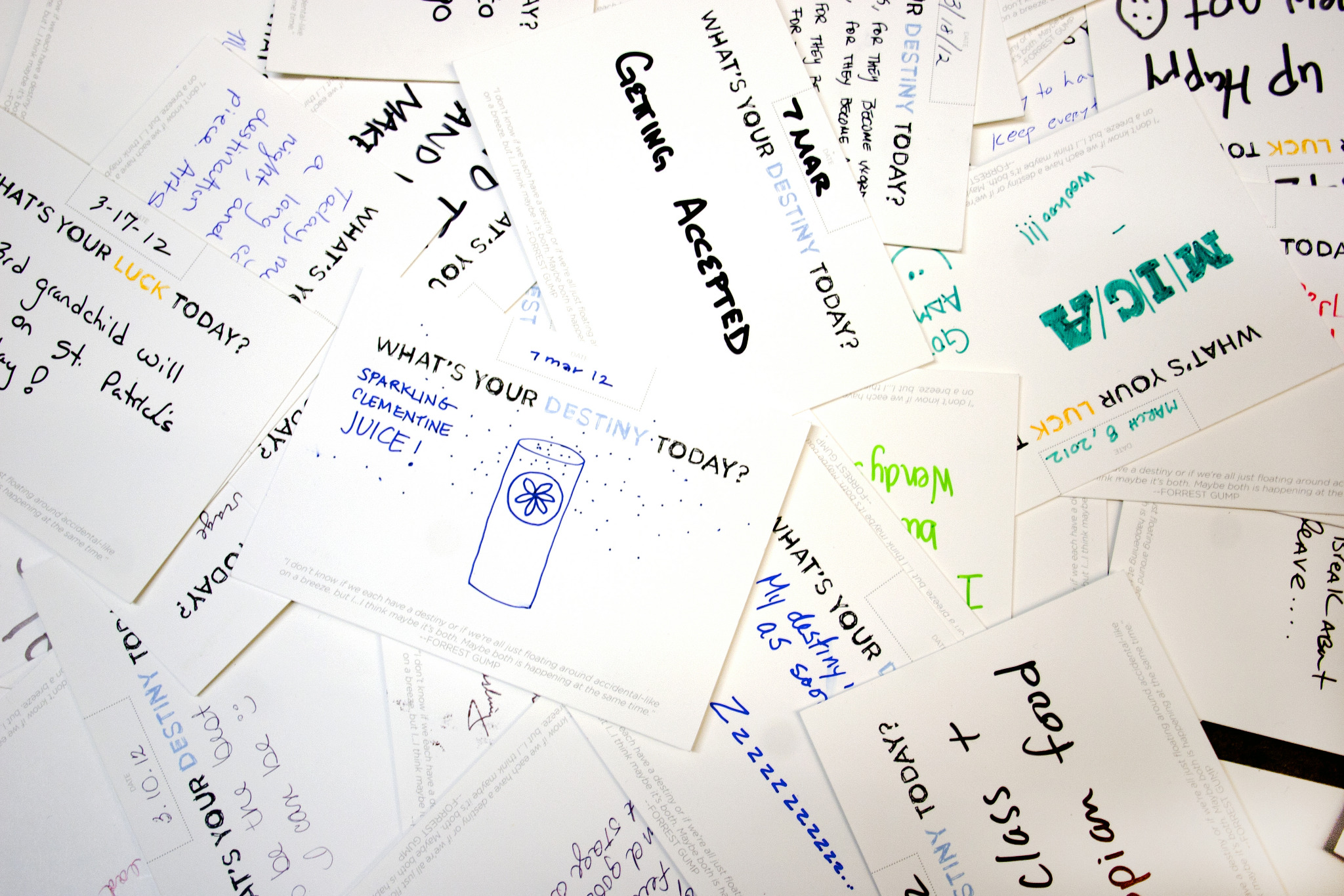 The Forrest Gump Project: Book - Laura Fitzgerald-Hocker | Designer ...