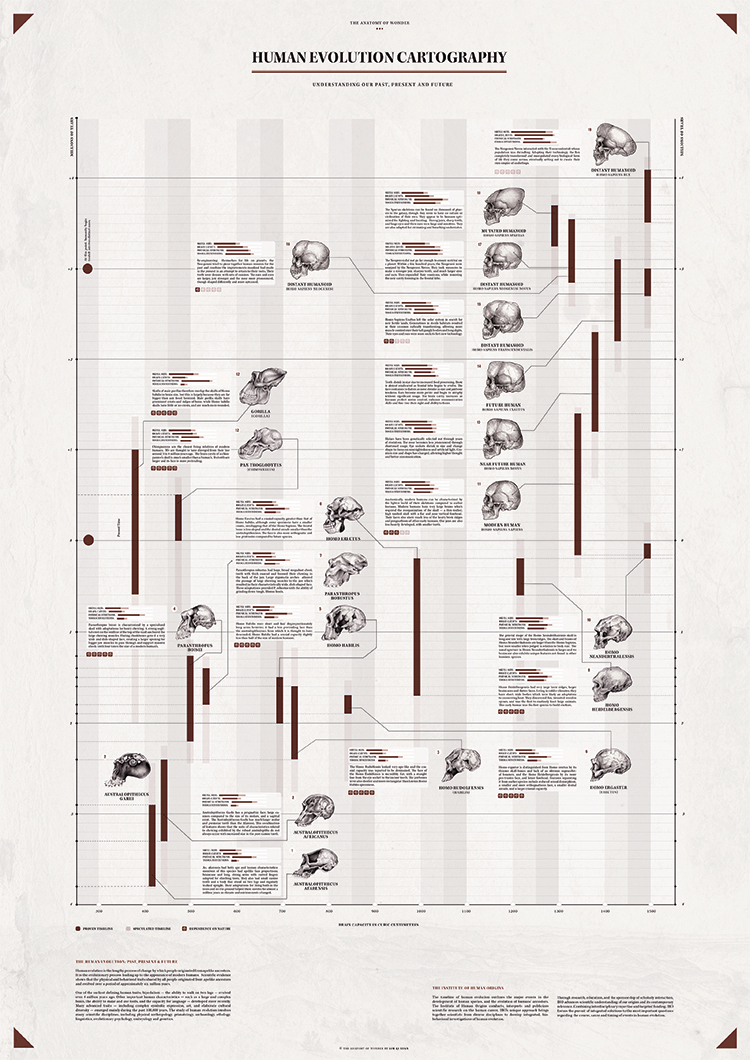 Evolution of Man: The Anatomy of Wonder - QIMMYSHIMMY