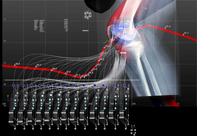 Apparel - SKIN GRAPH