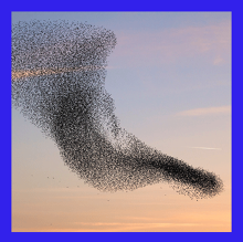 Robert Overweg - Dreams of Reality