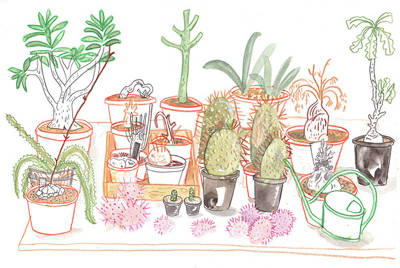 Alice Livingstone Illustration